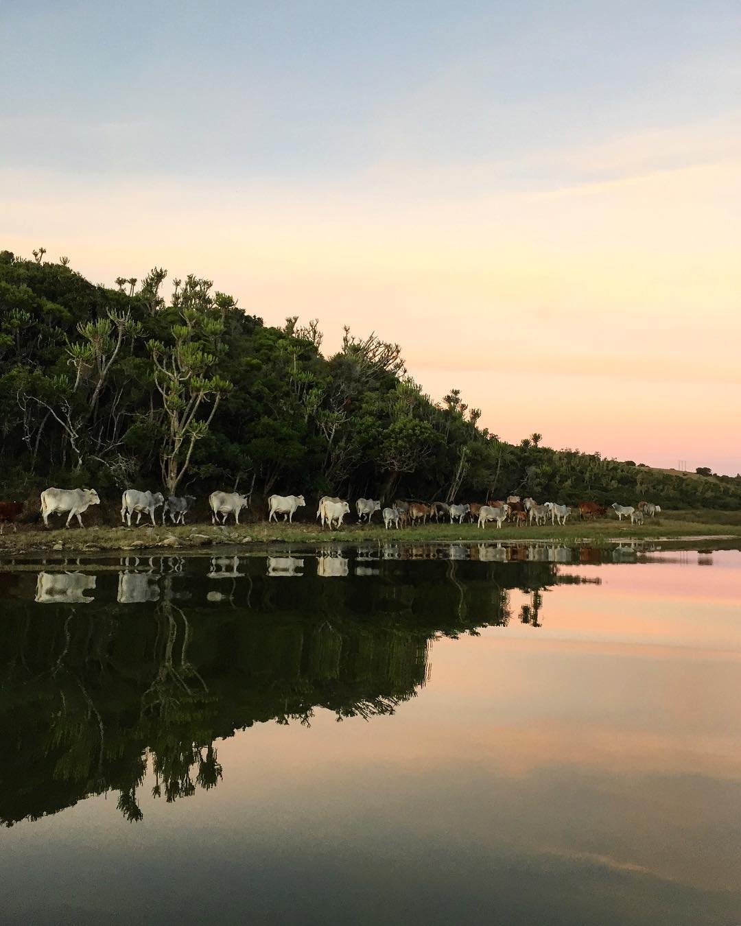 How to Take Stunning Landscape Photos with an iPhone