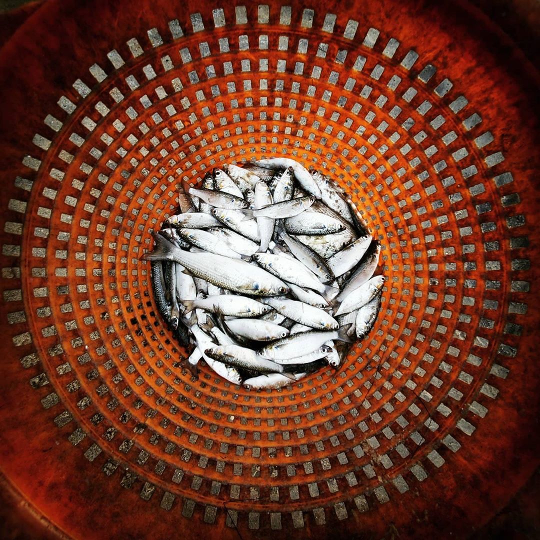 12 Stunning Symmetry Inspired Smartphone Photos