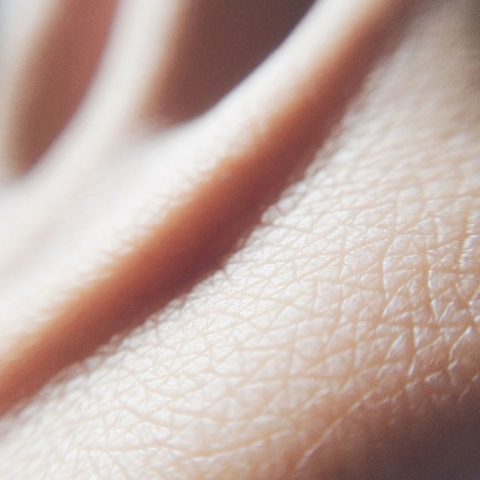 How To Shoot Amazing Macro Photography With Your iPhone